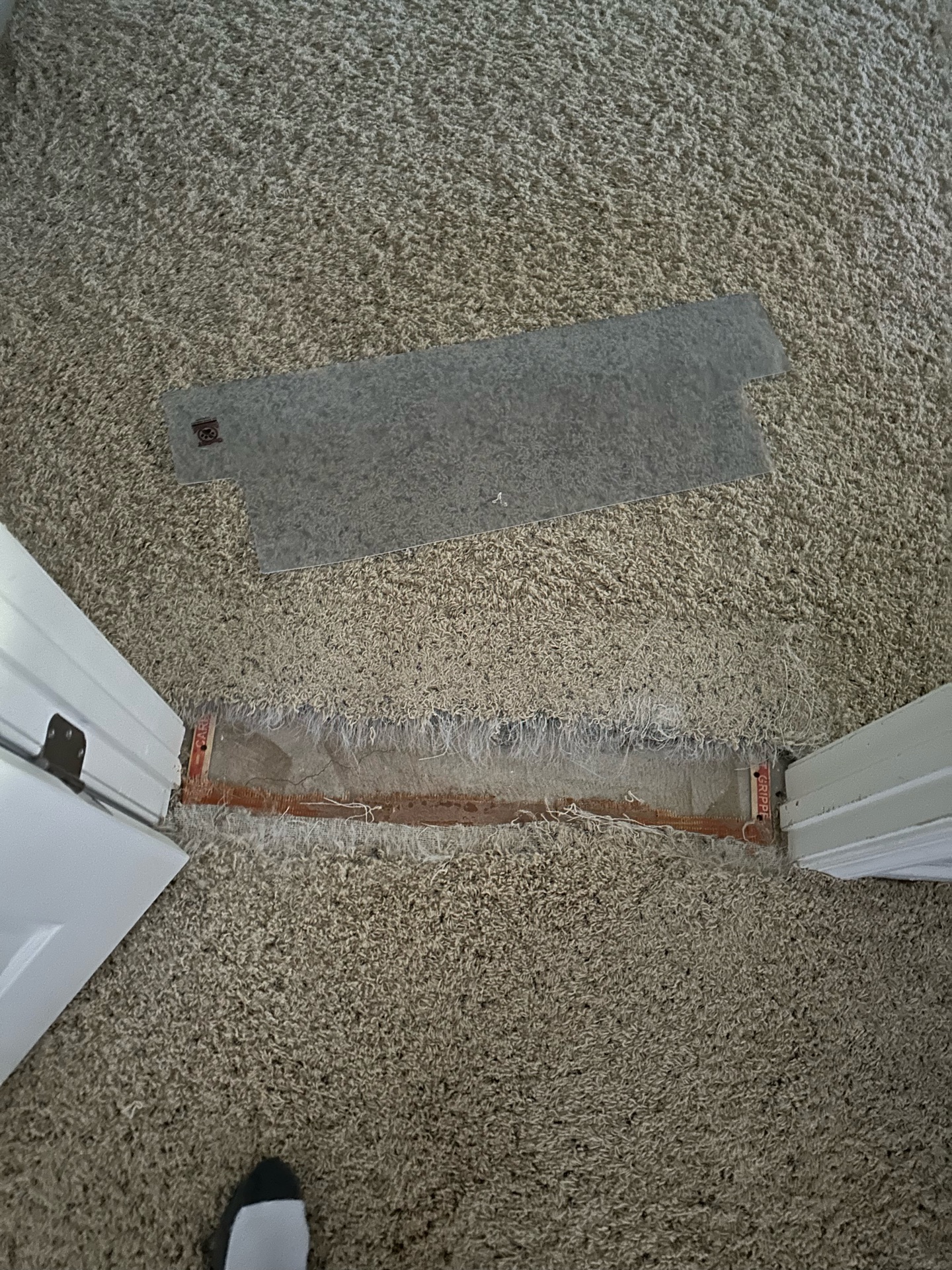 Drywall and carpet repair | GigMarket