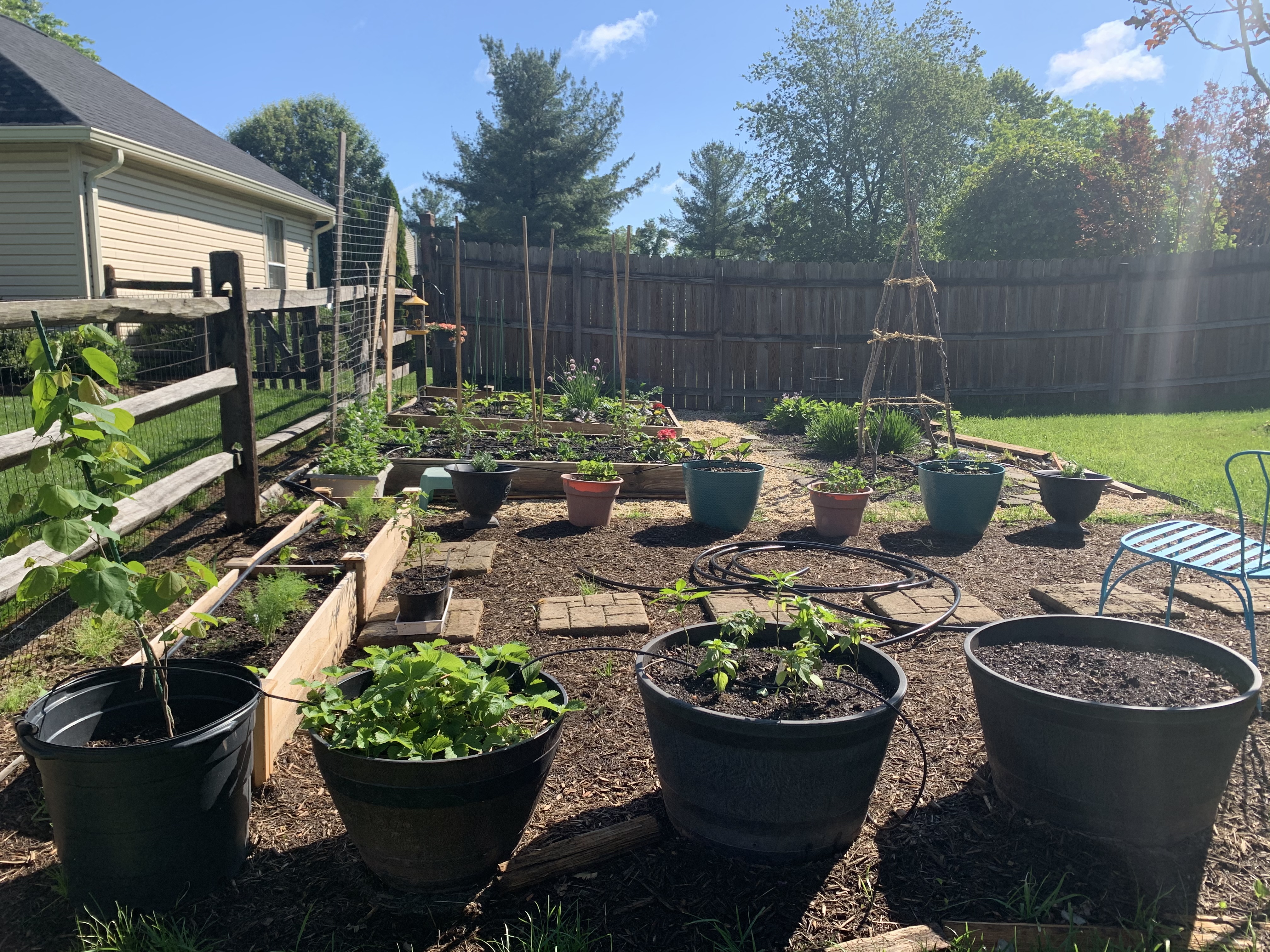 Need helper for large garden project | GigMarket