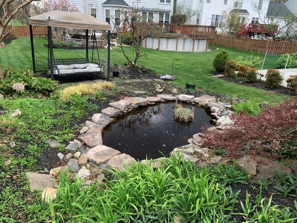 Clean 12'x7' residential pond | GigMarket